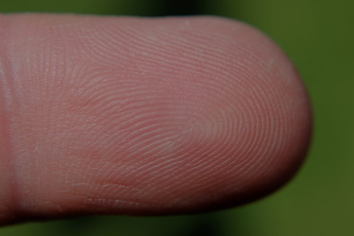 How biometrics work: At your fingertips! - Tech 101